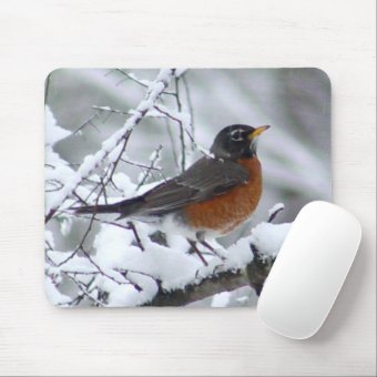 Robin in the Snow Bird Mousepad | Zazzle