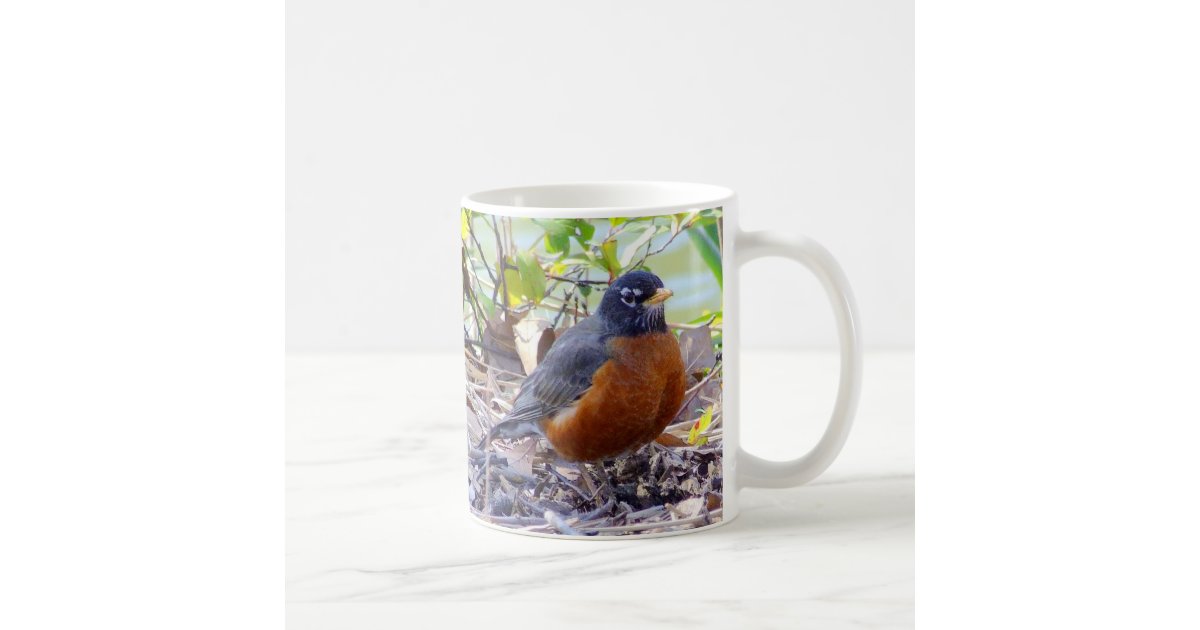 Robin mug | Zazzle