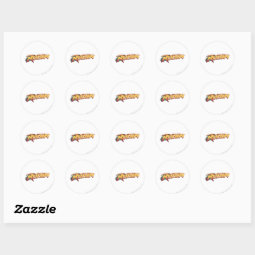 Robin Name Logo Classic Round Sticker | Zazzle