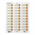 Robin Red Breast Return Address Labels | Zazzle