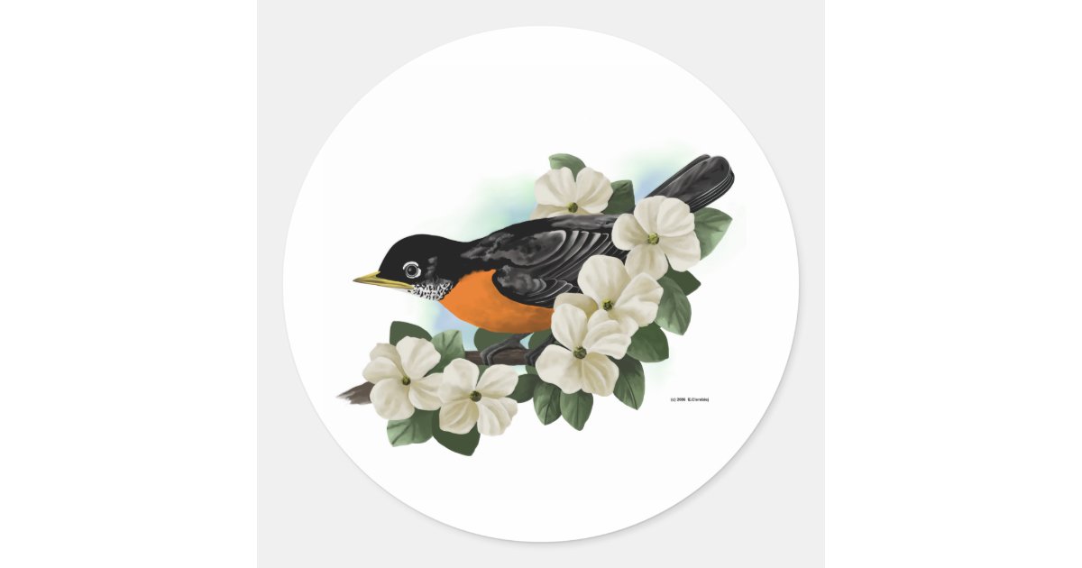 Robin Stickers | Zazzle