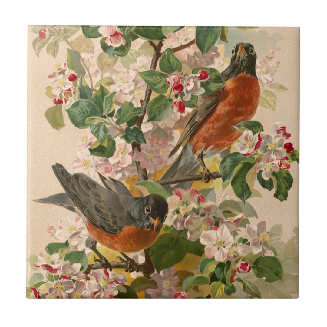 Robins 1896 ceramic tile | Zazzle