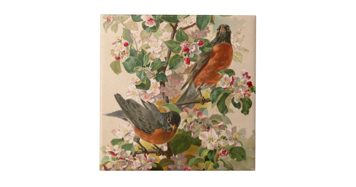Robins 1896 ceramic tile | Zazzle