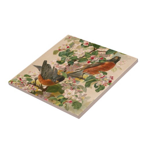 Robins 1896 ceramic tile | Zazzle