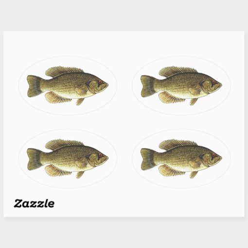 Rock Bass - Red Eye Oval Sticker | Zazzle