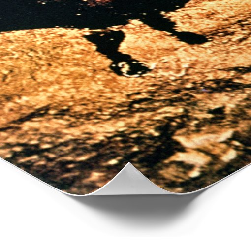 Rock painting of bison, c.17000 BC Poster | Zazzle