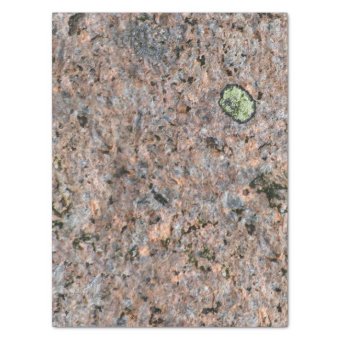 Rock Photo Geology Texture with Moss Tissue Paper | Zazzle