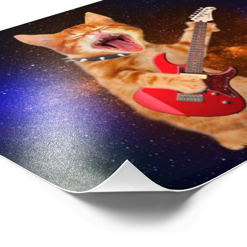 Rock star cat photo print | Zazzle