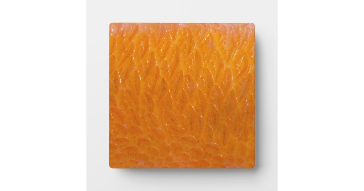 Rockfish Skin Plaque | Zazzle
