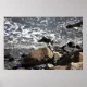Rocks in the Ocean Poster | Zazzle