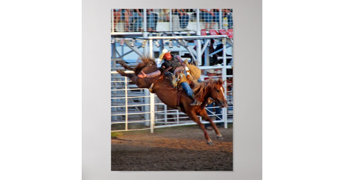Rodeo Bucking Poster | Zazzle