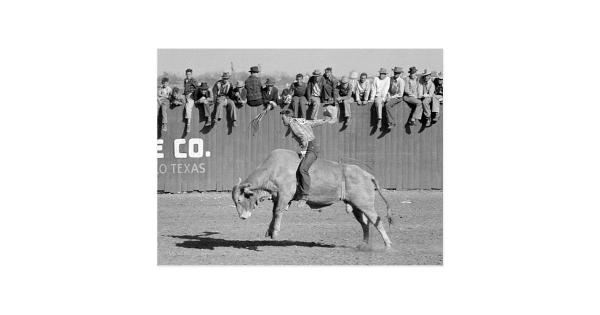 Rodeo Bull Rider, 1940 Postcard | Zazzle.com