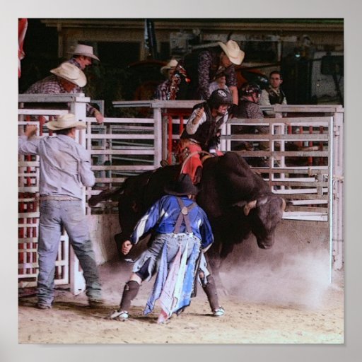 RODEO: BULL RIDING POSTER | Zazzle