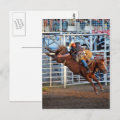 Rodeo! Postcard | Zazzle