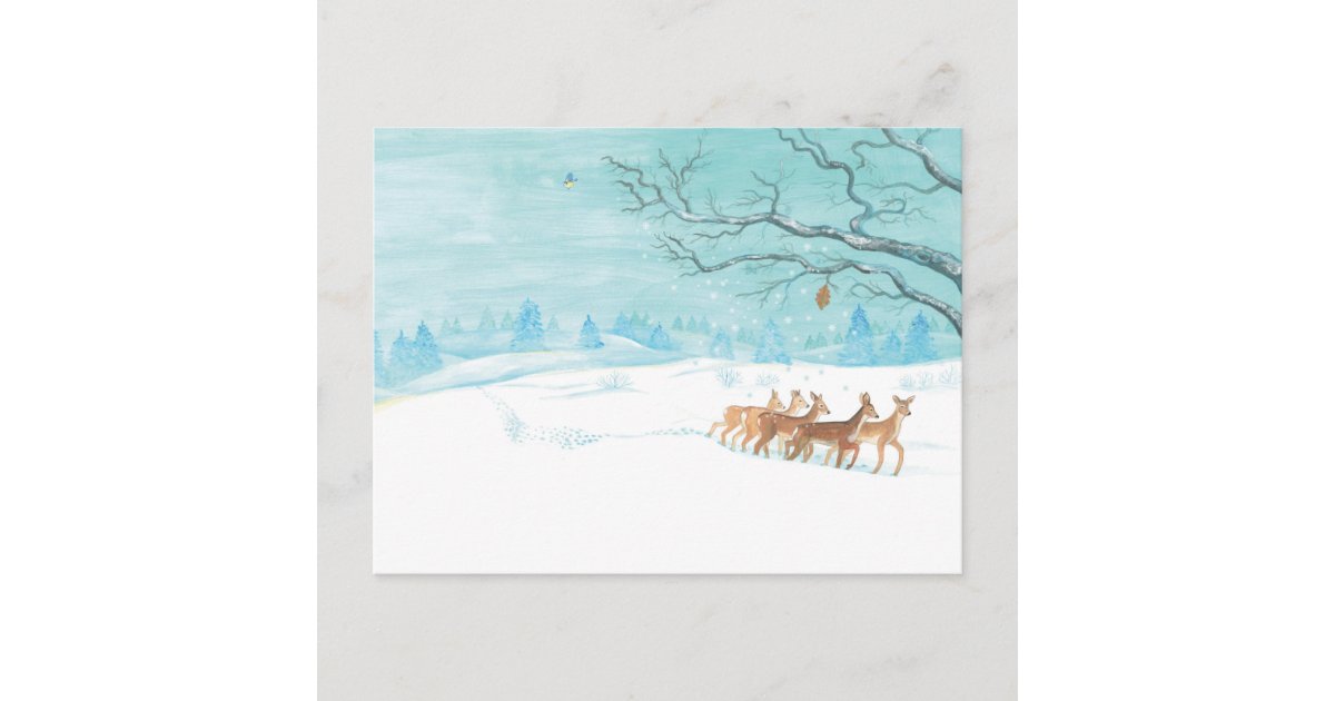 Roe Deer Group in Winter Postcard | Zazzle