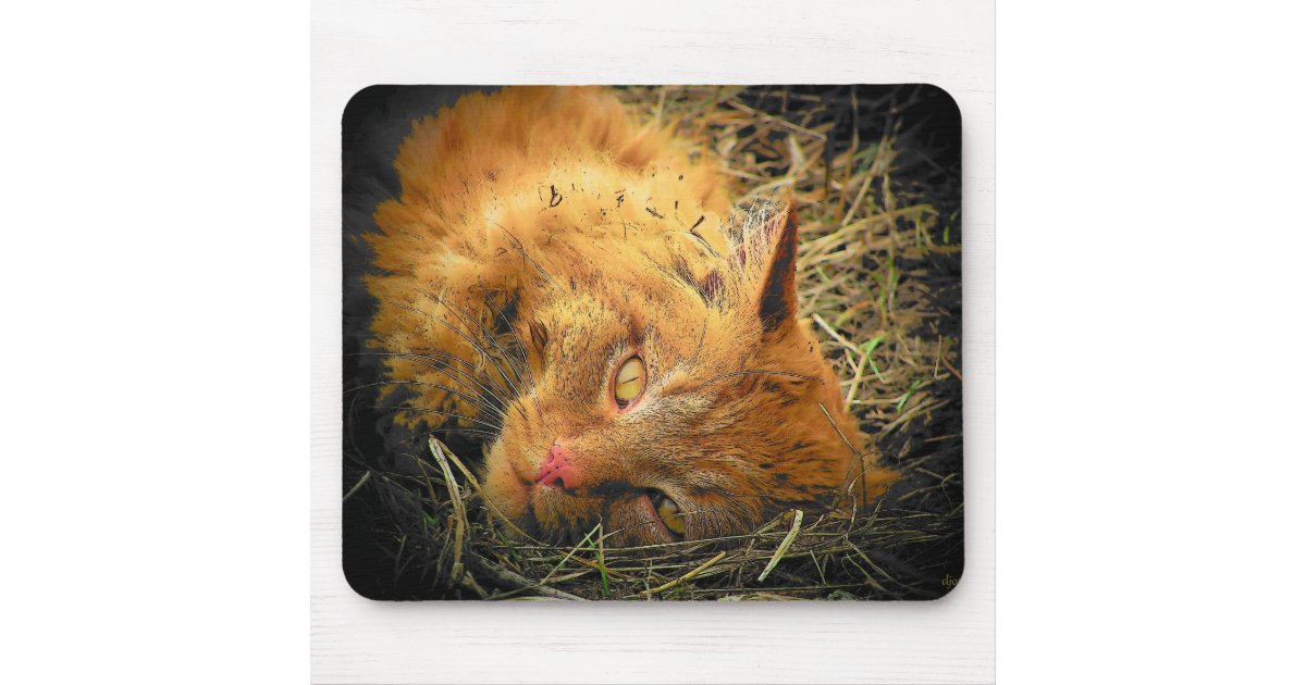 Roll in the Hay Mouse Pad | Zazzle