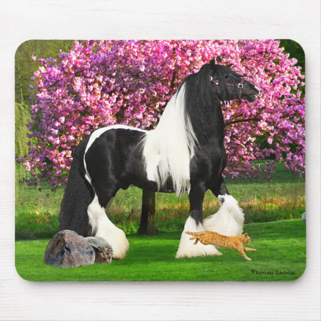 "Rollo & Cat" Mousepad | Zazzle