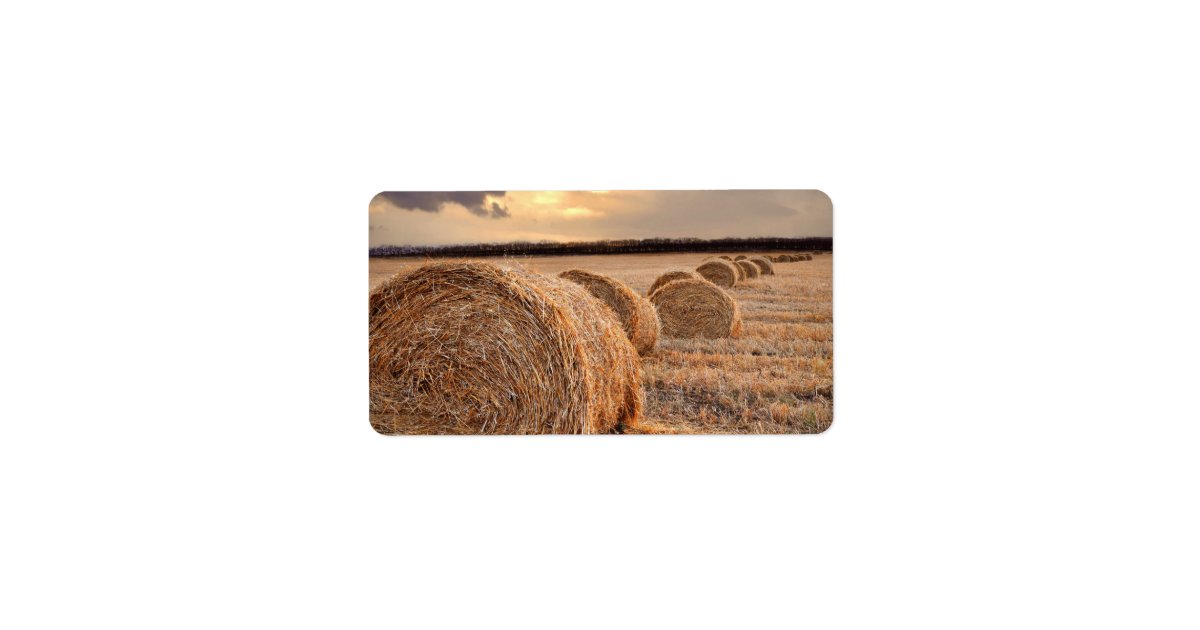Rolls of Hay Label | Zazzle