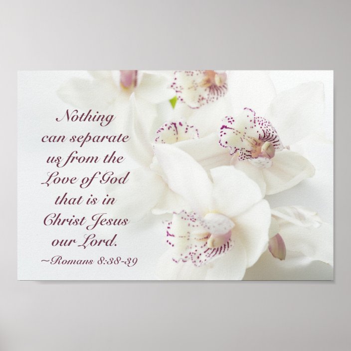 Romans 8:39 Love of God Bible White Orchids Poster | Zazzle.com