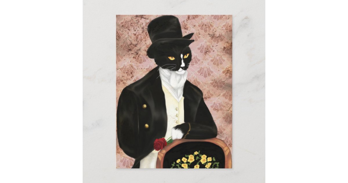 Romantic Mr Darcy Cat postcard | Zazzle