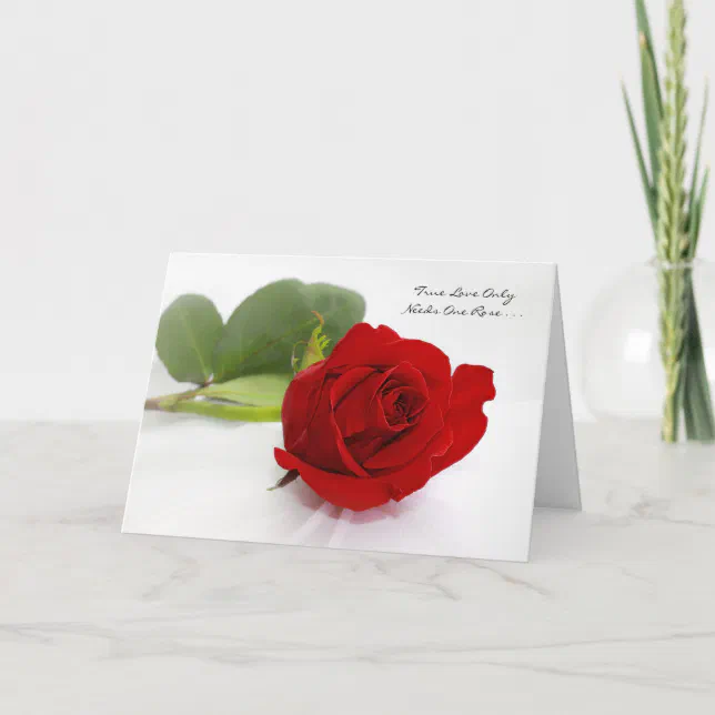 Romantic Red Rose I Love You Only One For Me Card | Zazzle