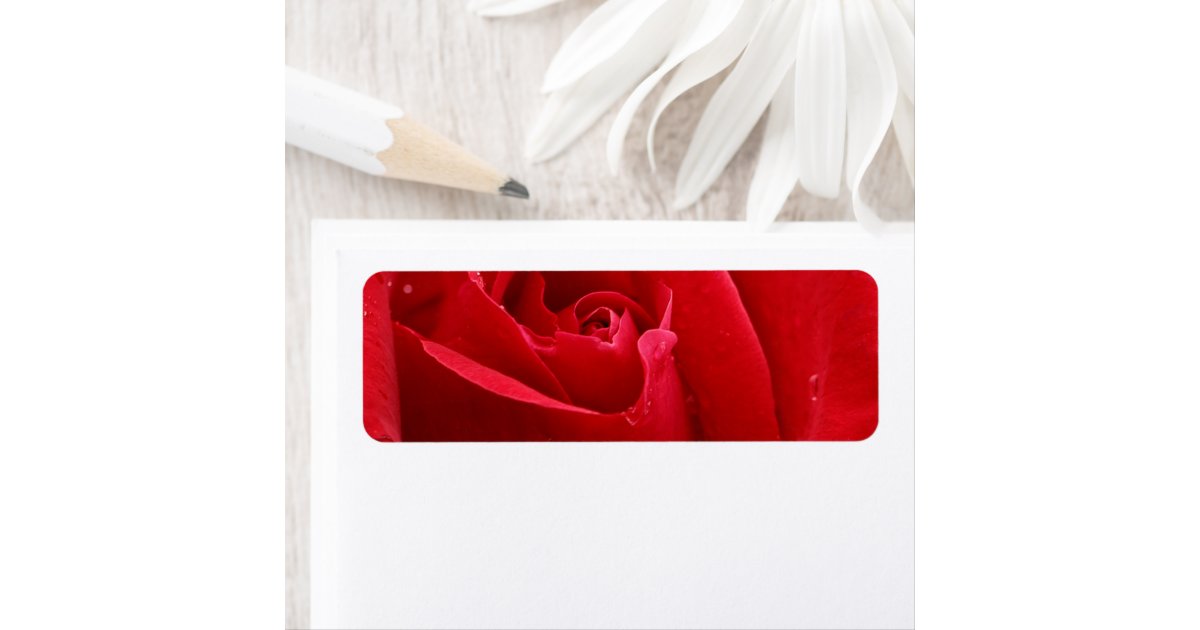 Romantic Red Rose Label | Zazzle