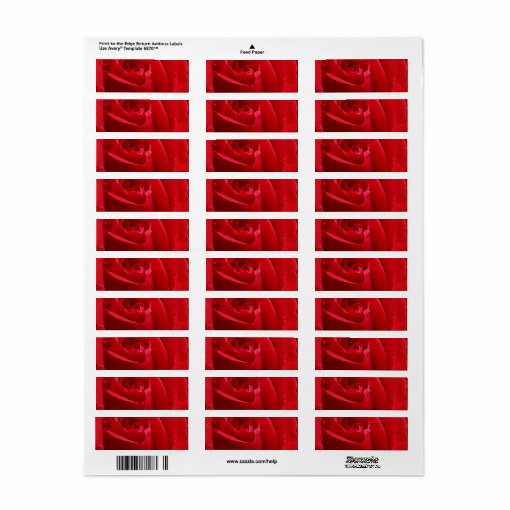 Romantic Red Rose Label | Zazzle
