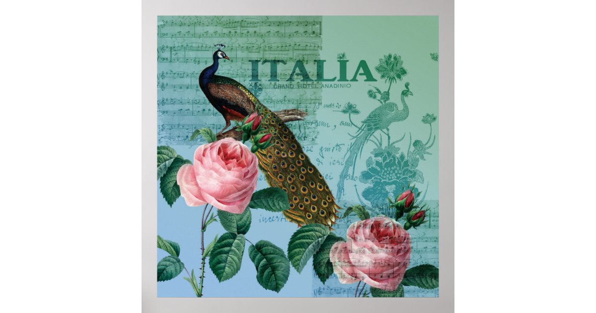 Romantic Roses Musical Peacock Poster | Zazzle