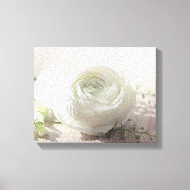 Romantic White Rose Canvas Print | Zazzle