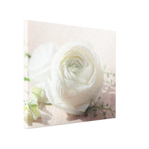 Romantic White Rose Canvas Print | Zazzle