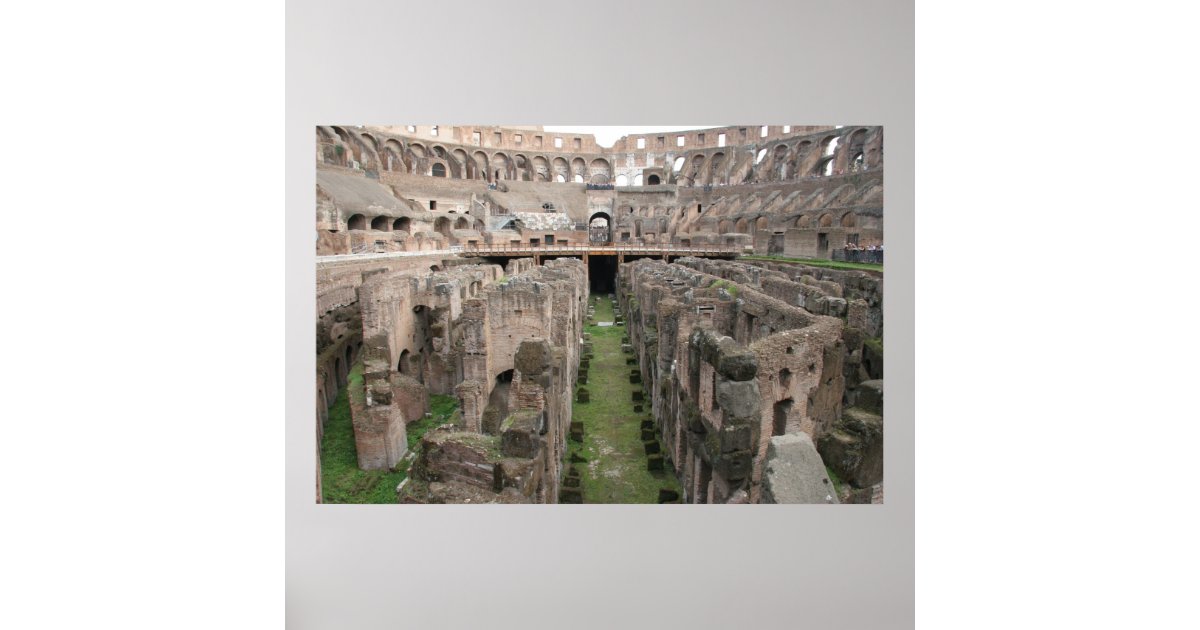 Rome Coliseum Poster | Zazzle