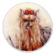 Ron Hevener Yorkshire Terrier Dog Ceramic Knob | Zazzle