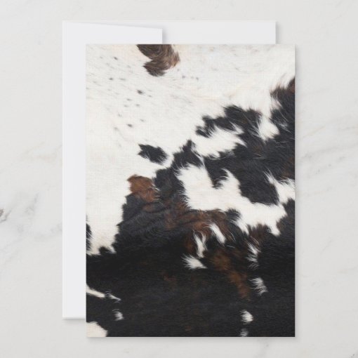 Roora Lobola Negotiation Traditional Wedding Invitation | Zazzle