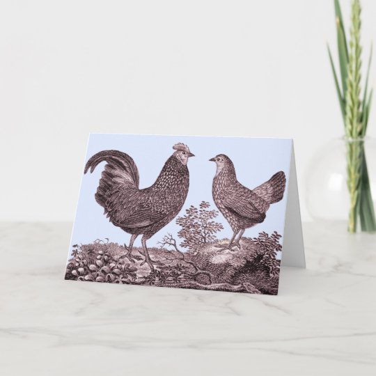 Rooster and Hen Card | Zazzle.com