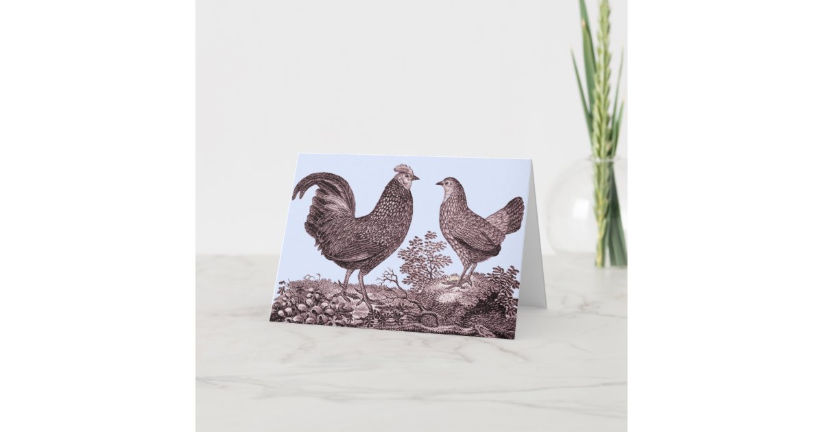 Rooster and Hen Card | Zazzle.com