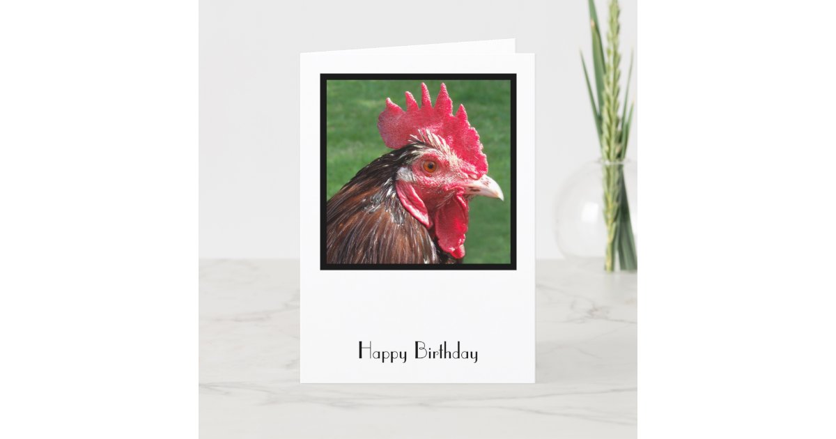 Rooster Birthday Card | Zazzle