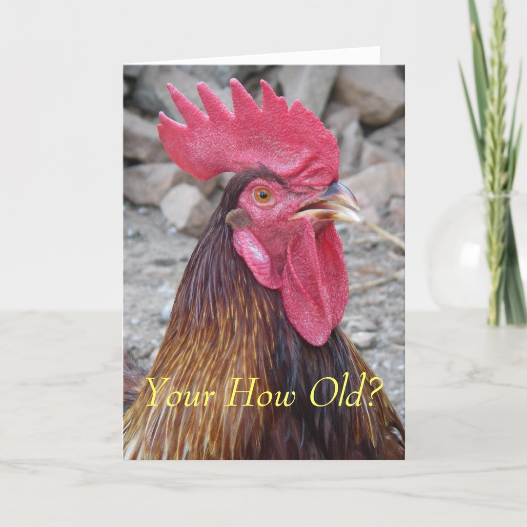 Rooster Birthday Card | Zazzle
