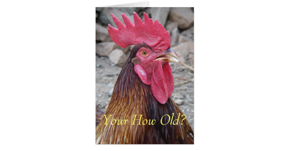 Rooster Birthday Card | Zazzle.com