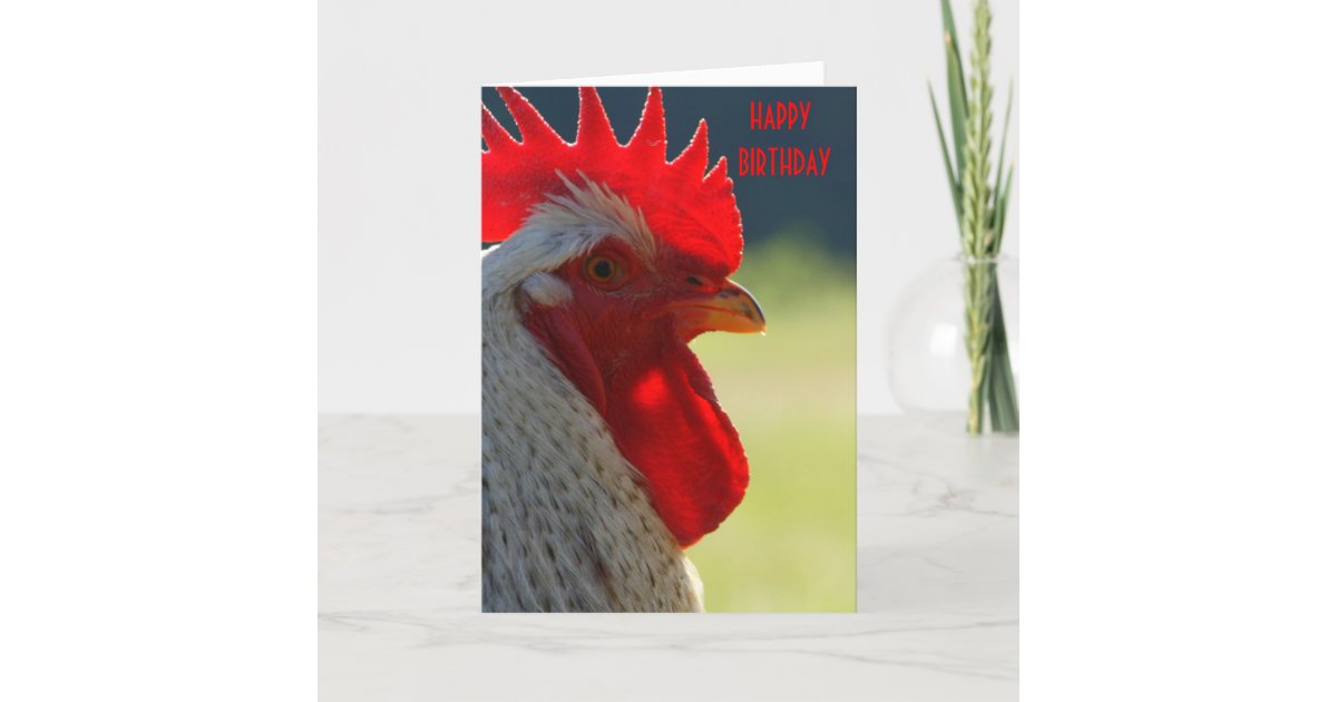 Rooster Birthday Card | Zazzle