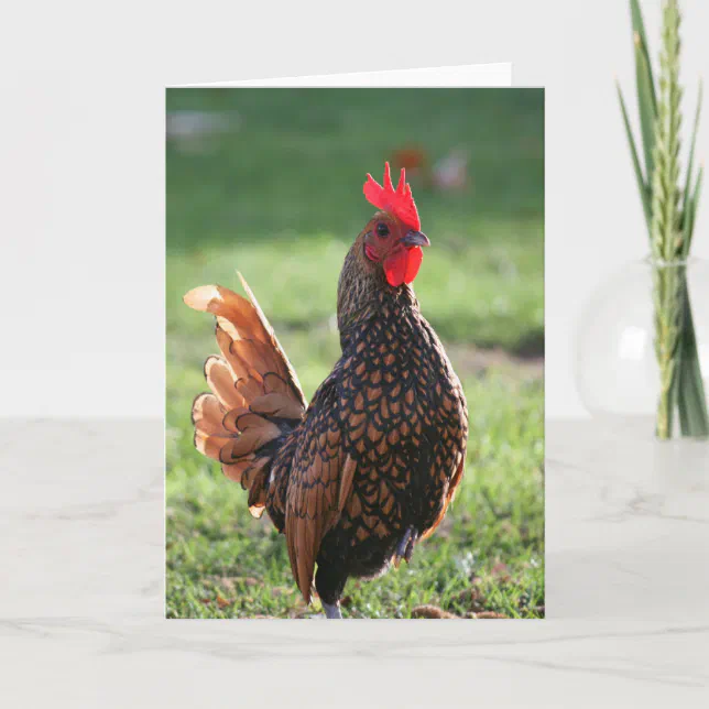 Rooster, Blank Note Card | Zazzle