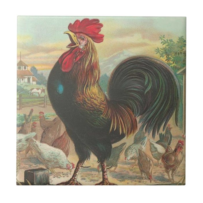 Rooster Ceramic Tile | Zazzle.com