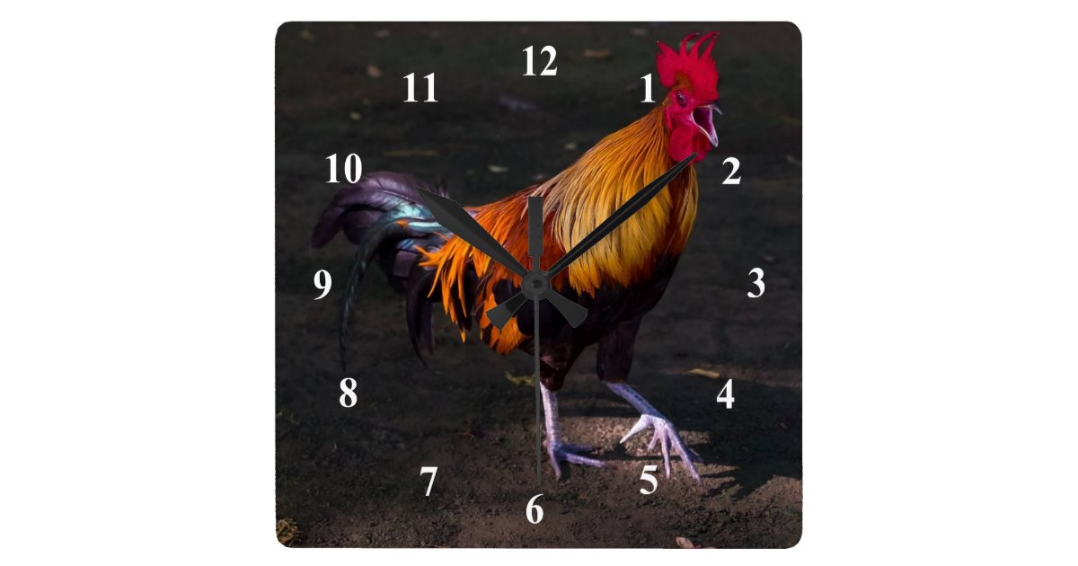 Rooster Crowing Wall Clock | Zazzle.com