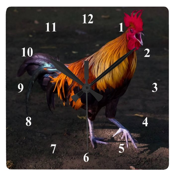 Rooster Crowing Wall Clock | Zazzle.com