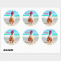 Rooster Dude Chillin' at Beach in Swim Trunks Classic Round Sticker ...