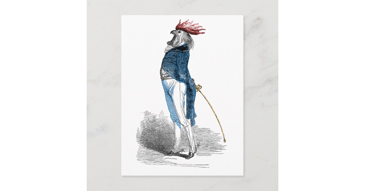 Rooster Gentleman Postcard | Zazzle