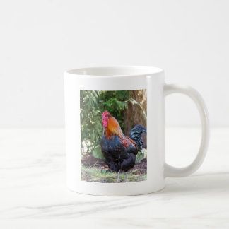 Rooster Mugs, Rooster Coffee Mugs, Steins & Mug Designs
