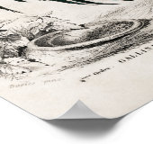 Rooster on farm poster | Zazzle