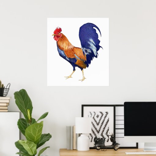 Rooster Poster | Zazzle