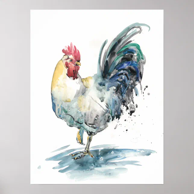 Rooster Splash - Watercolor Poster | Zazzle