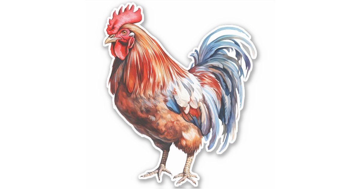 Rooster Sticker | Zazzle
